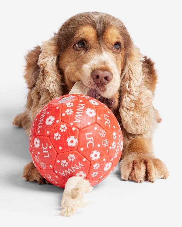 LFC Football Dog Toy
