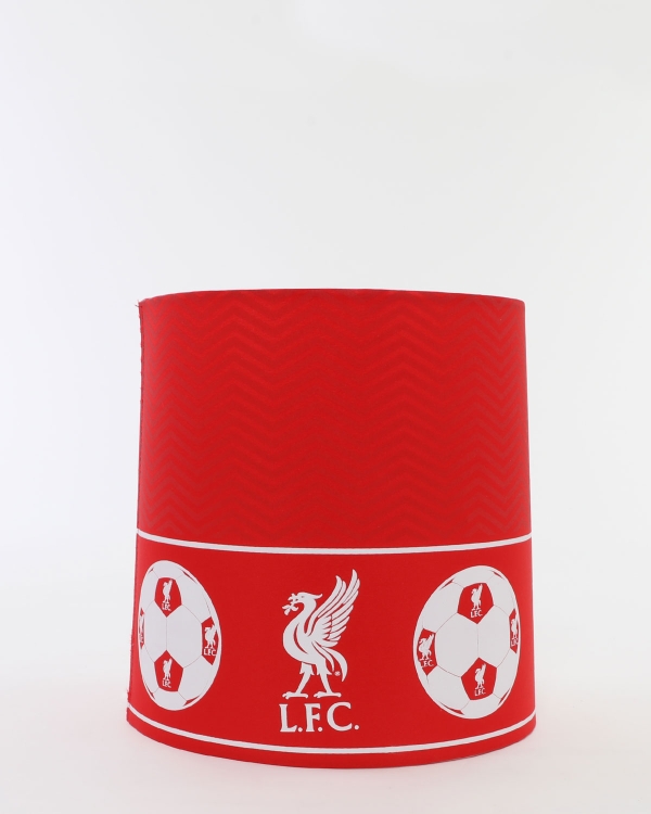 LFC Ceiling Light