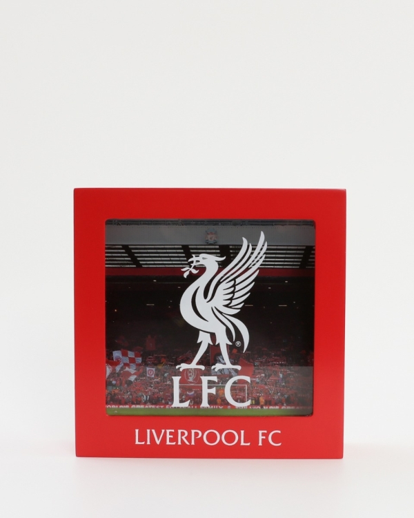 LFC Money Box