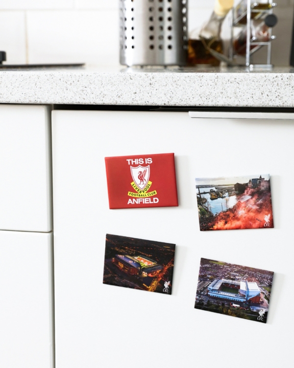 LFC 4 Pack Tin Magnet Set