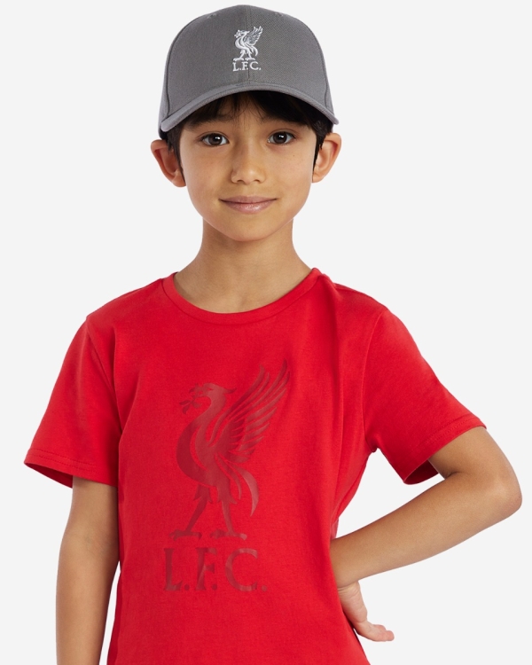 LFC 47 Juniors Desert Tone MVP Snapback Cap Grey