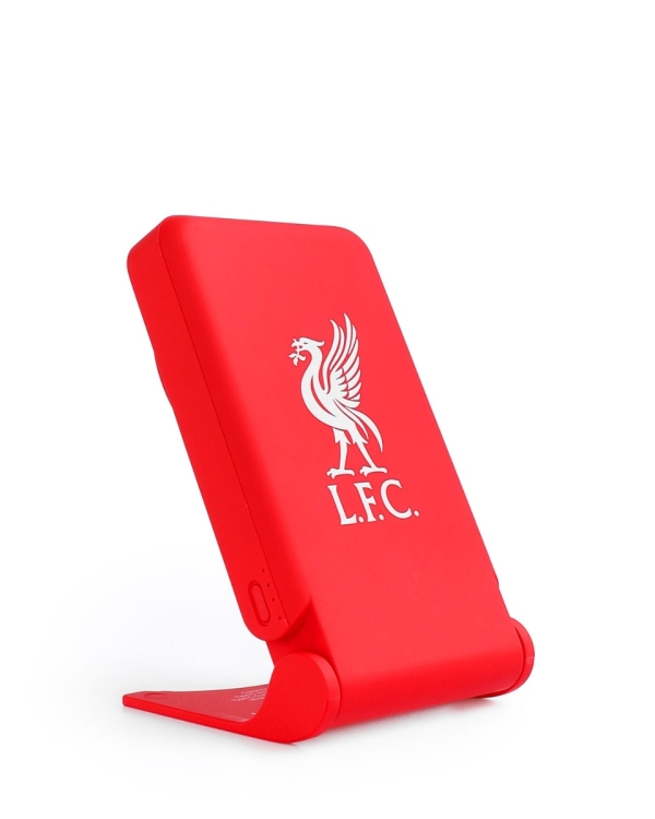 LFC LED Power Bank
