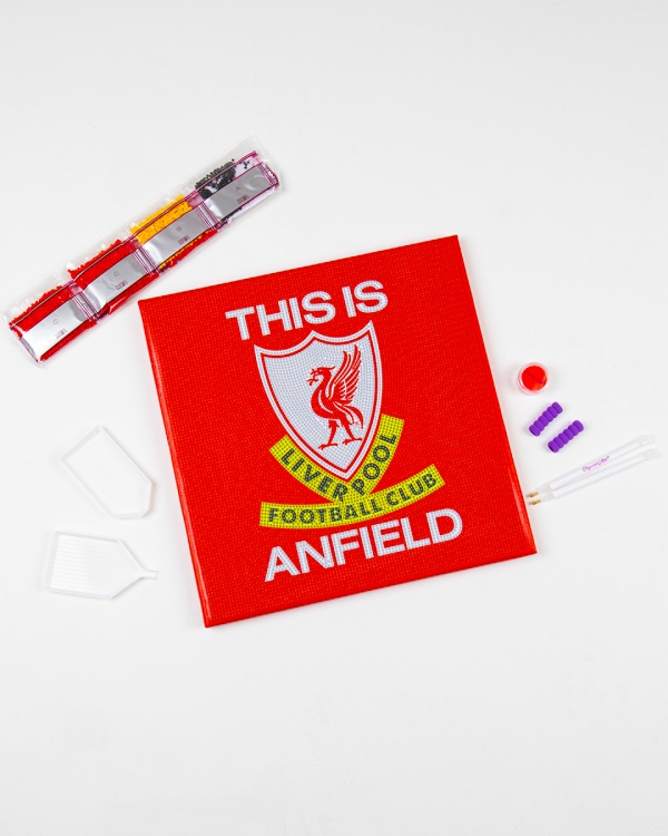 LFC Crystal Art Canvas Craft Kit