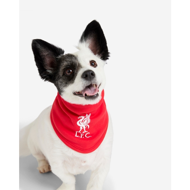 LFC Pet Reversible Bandana