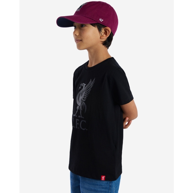 LFC 47 Juniors Riverbank Double Under Clean Up Cap Galaxy Purple