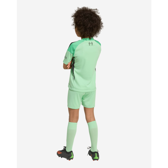 LFC adidas Little Kids 25/26 Home Goalkeeper Mini Kit