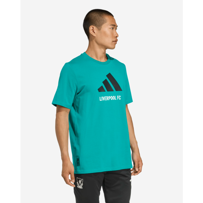 LFC adidas Adults 25/26 Graphic Tee Green