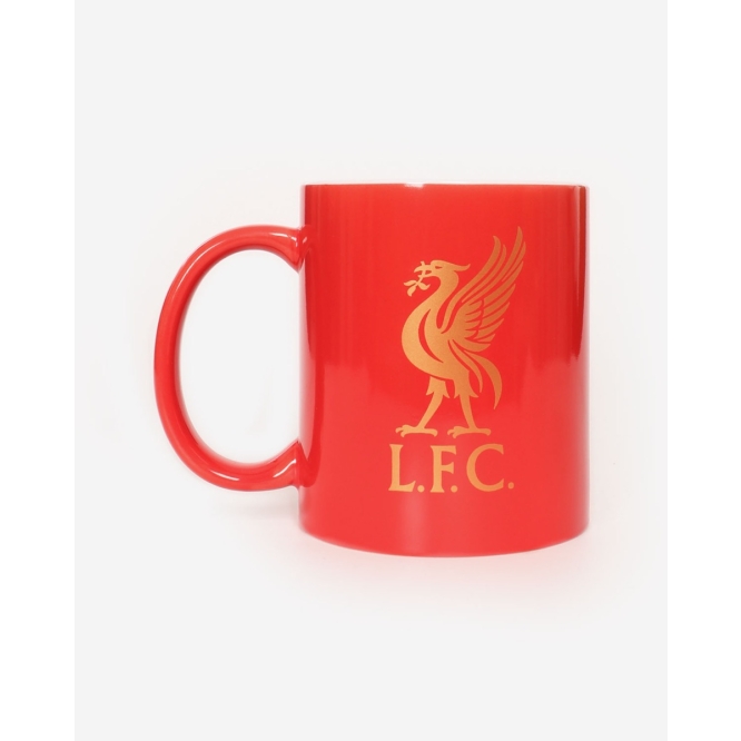 LFC Letter D Mug