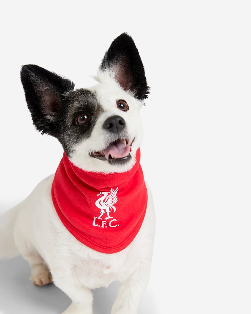 LFC Pet Reversible Bandana