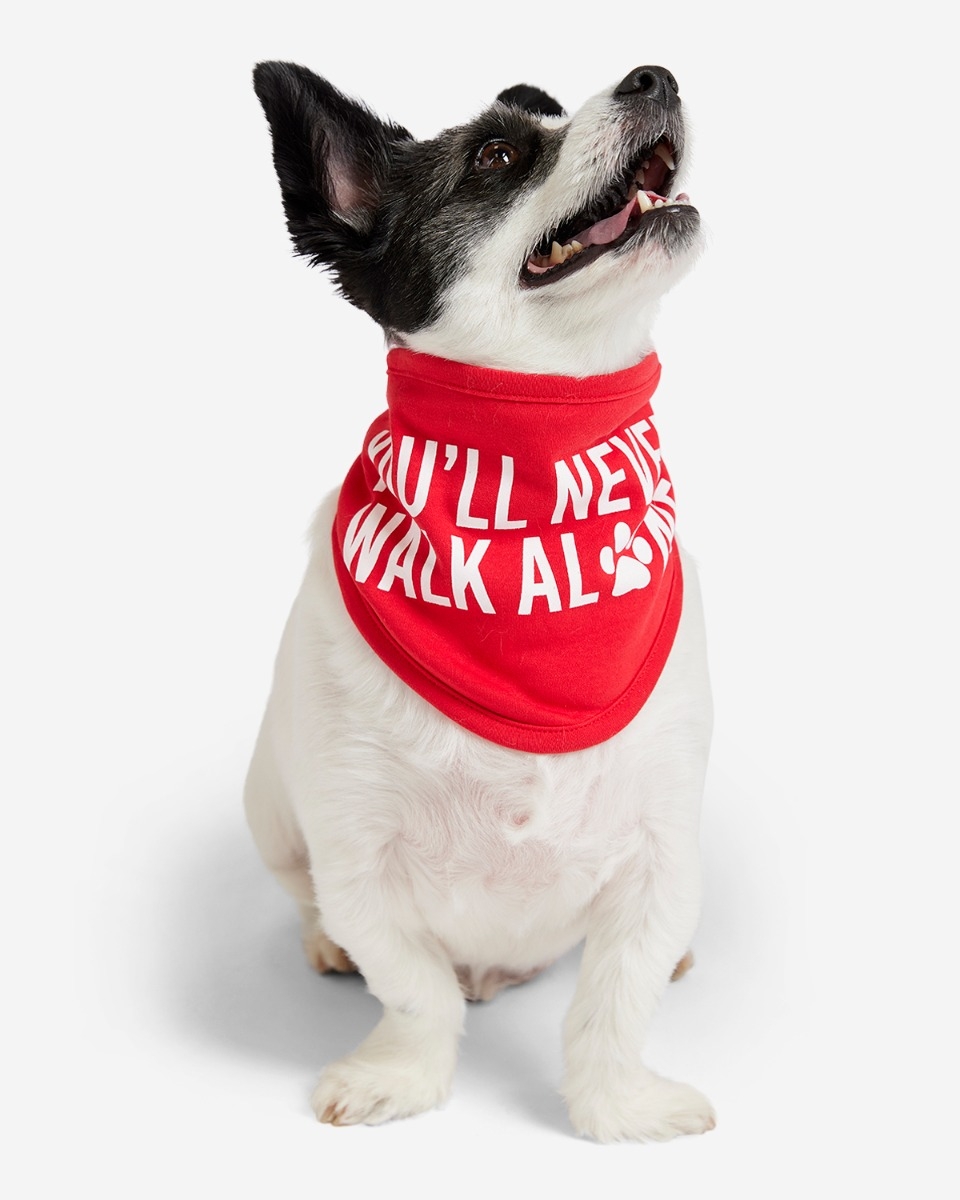 LFC Pet Reversible Bandana