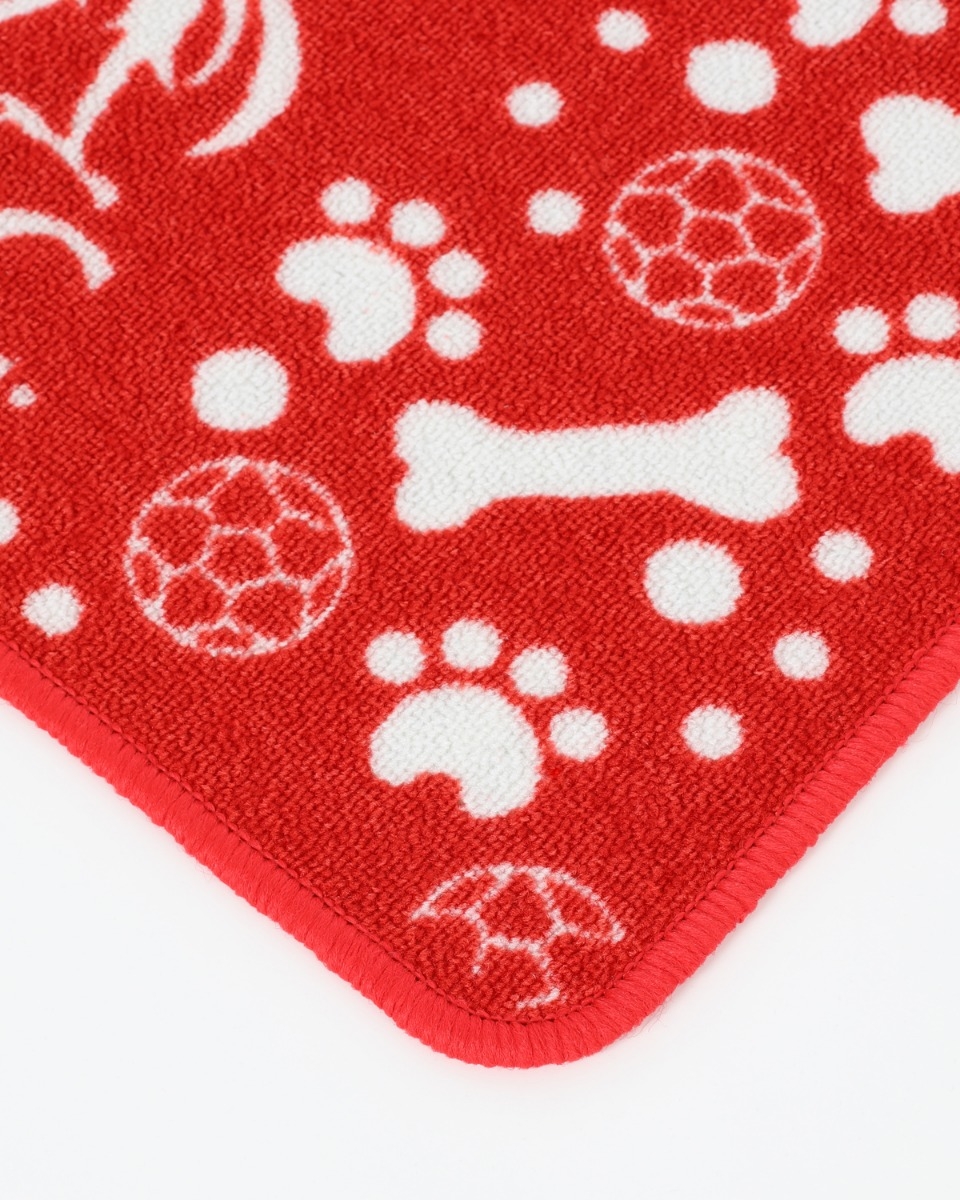 LFC Pet Splash Mat