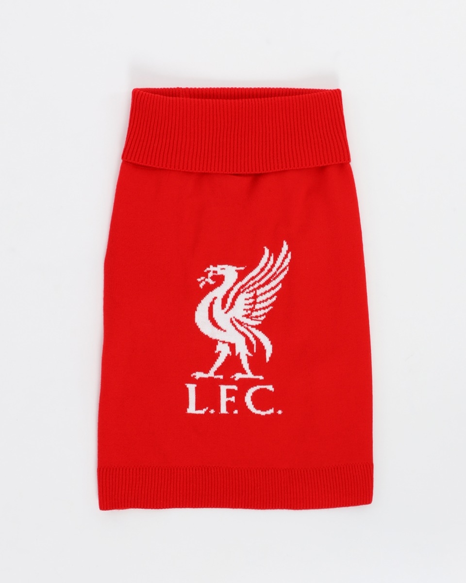 LFC Liverbird Dog Jumper