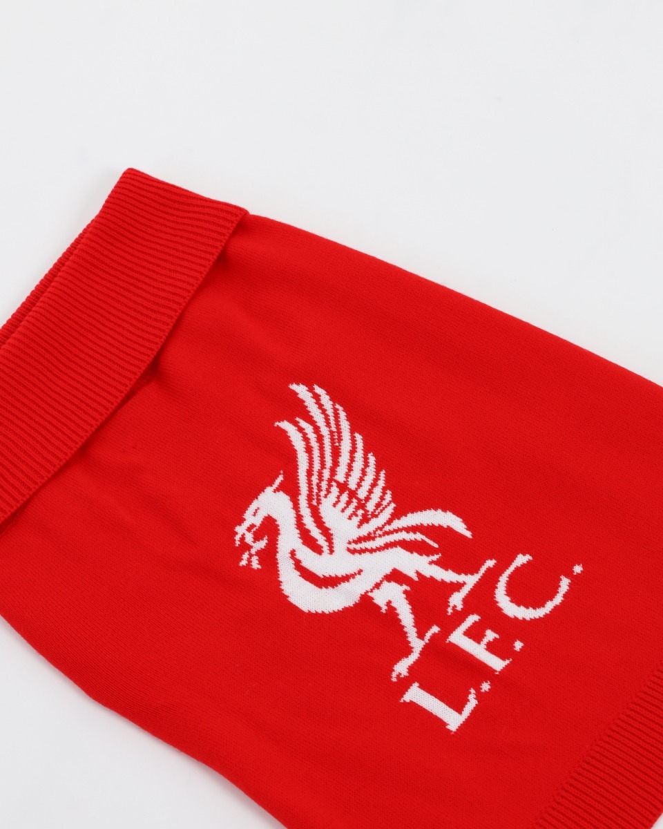 LFC Liverbird Dog Jumper
