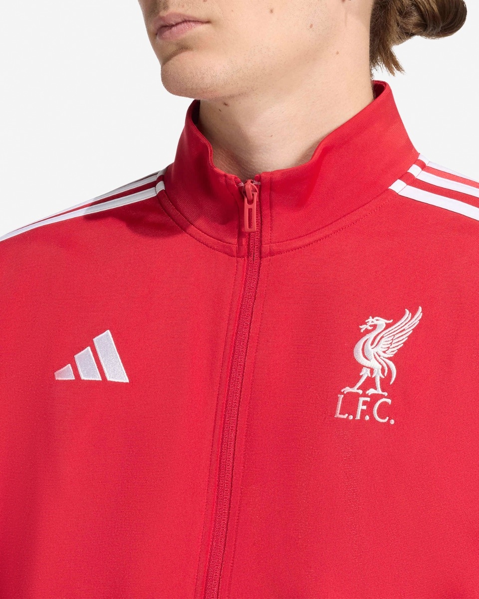 LFC adidas Mens 25/26 DNA Anthem Jacket Red