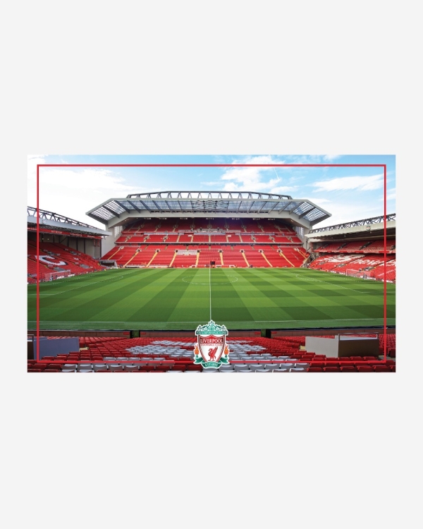 Mural LFC Mainstand Pared
