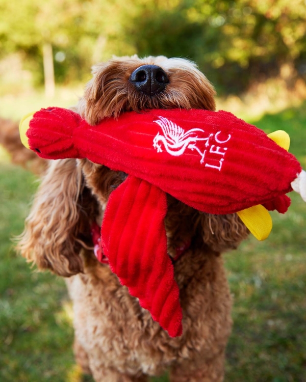 LFC Plush Dog Toy